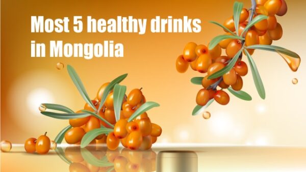 Mongolian Desserts: 7 Sweet Delights of Mongolia