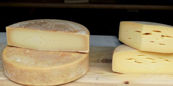 What is Mongolian cheese, byaslag?