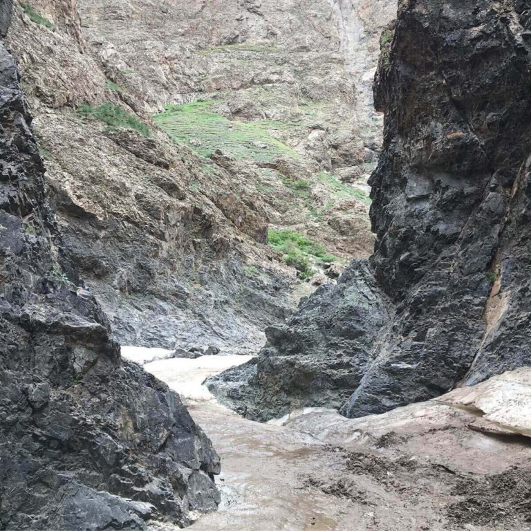 Yolyn am: Deep Vulture Valley of Mongolia
