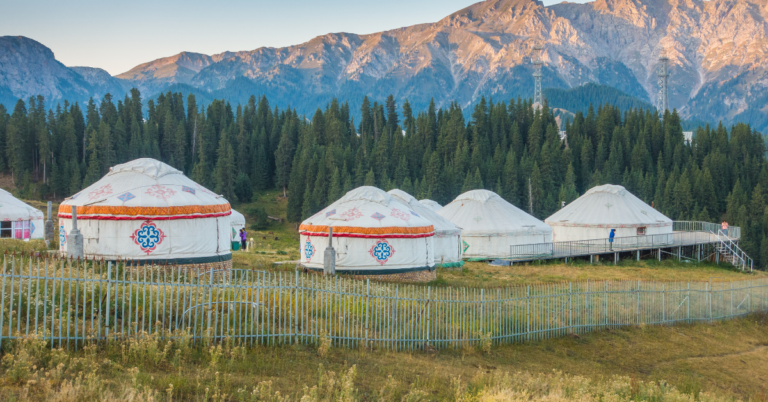 All about Ger Camp: Discover the Magic of a Ger Camp in Mongolia