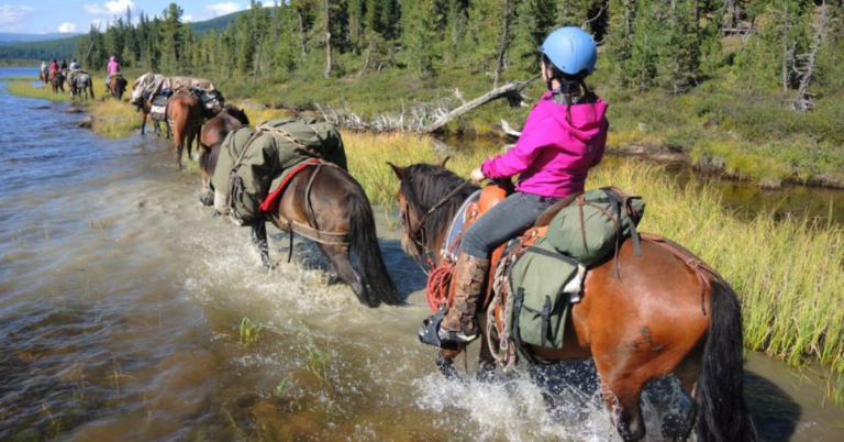 All about Ger Camp: Discover the Magic of a Ger Camp in Mongolia