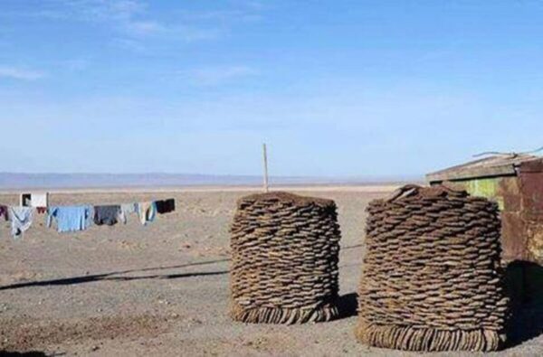How do Mongolians use dried dung? - 5 different uses
