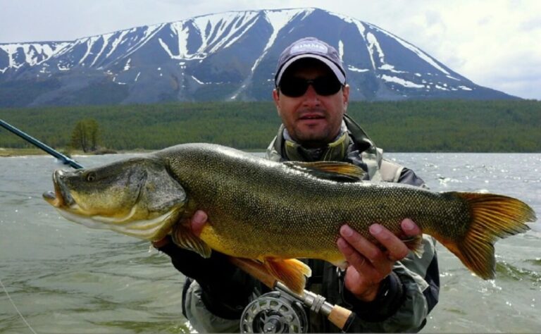 Mongolian Fish and Their 7 Types