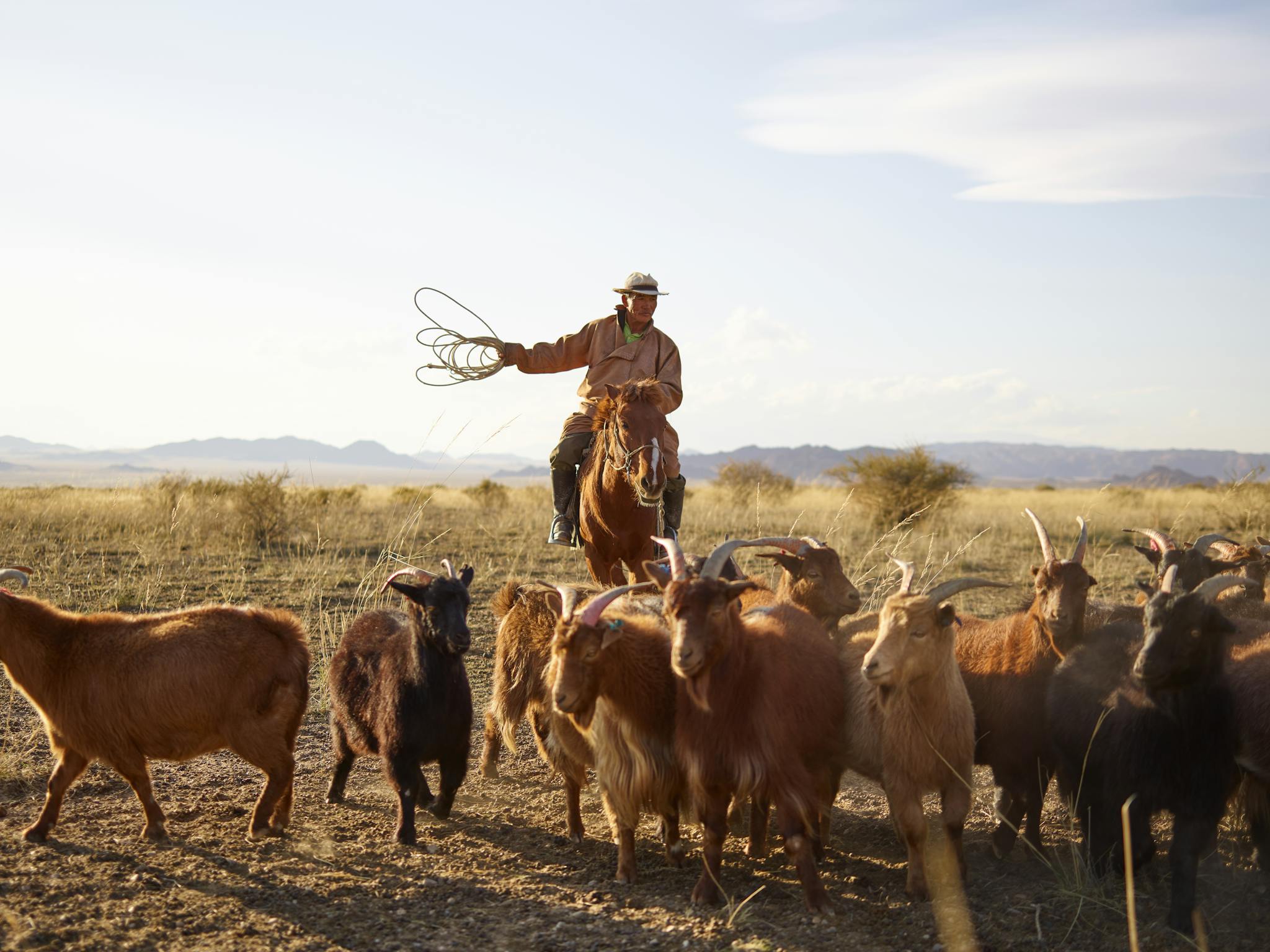 "Mongolia Countryside Revealed: Exploring Rural Life and Landscapes"
