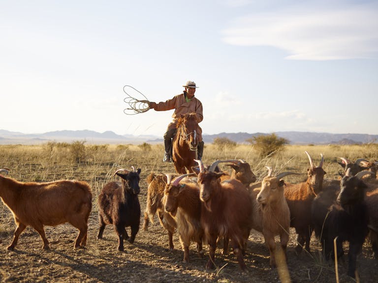 "Mongolia Countryside Revealed: Exploring Rural Life and Landscapes"
