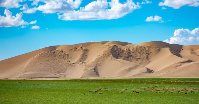 Mongolia Gobi Tour: The Ultimate Guide to Exploring the Vast Desert of Mongolia